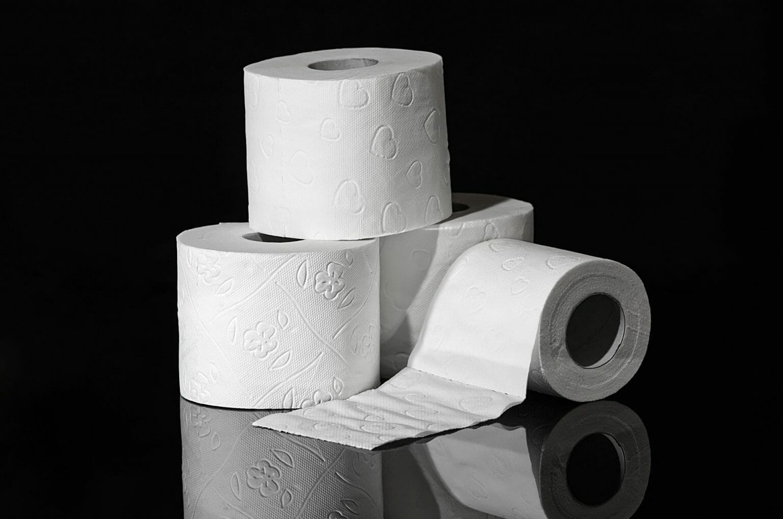9 Best Toilet Paper On The Market: Brand Reviews & Comparisons