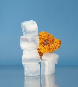 Why Is My Ice Maker Making Knocking Noises? (Causes & Fixes)